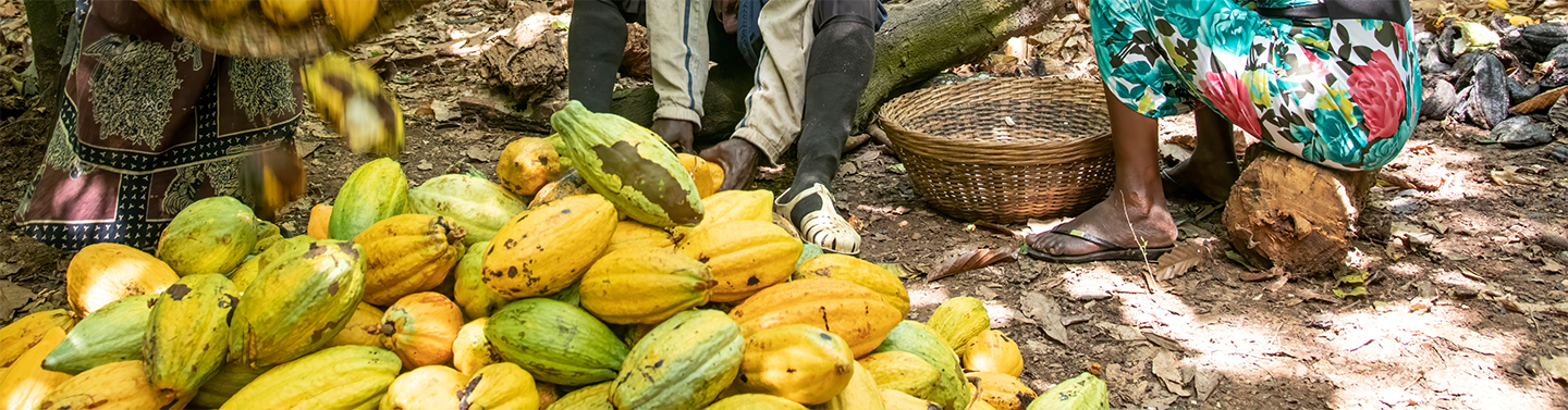 Worldwide Traceability Platform - Beyco