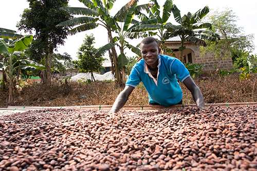 Worldwide Traceability Platform - Beyco